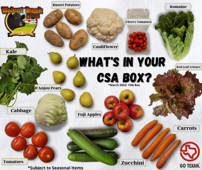 CSA Farm Box - Regular 15lbs. - Walnut Creek Farm